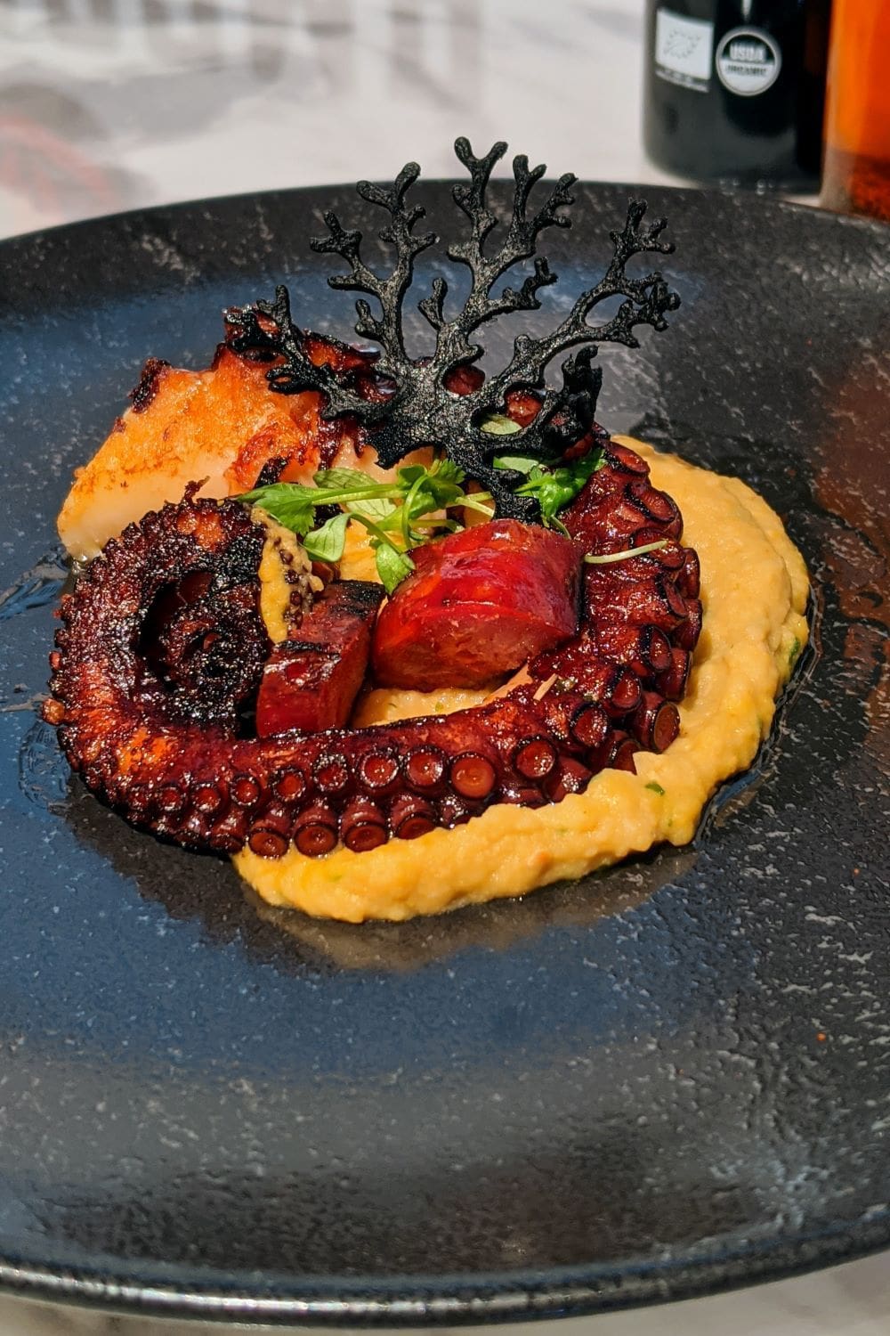 L'art de cuisiner la pieuvre par Helena Loureiro. FoodCamp Qc 2020